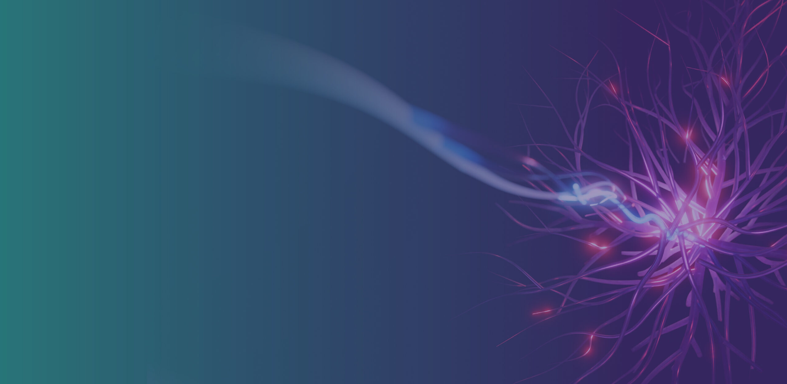 The NZ Brain Bee Challenge - CatWalk